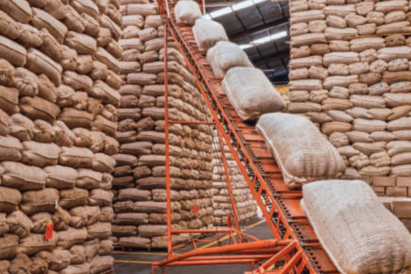 Crop Packaging and Distribution Conveyors - EKA Conveyors